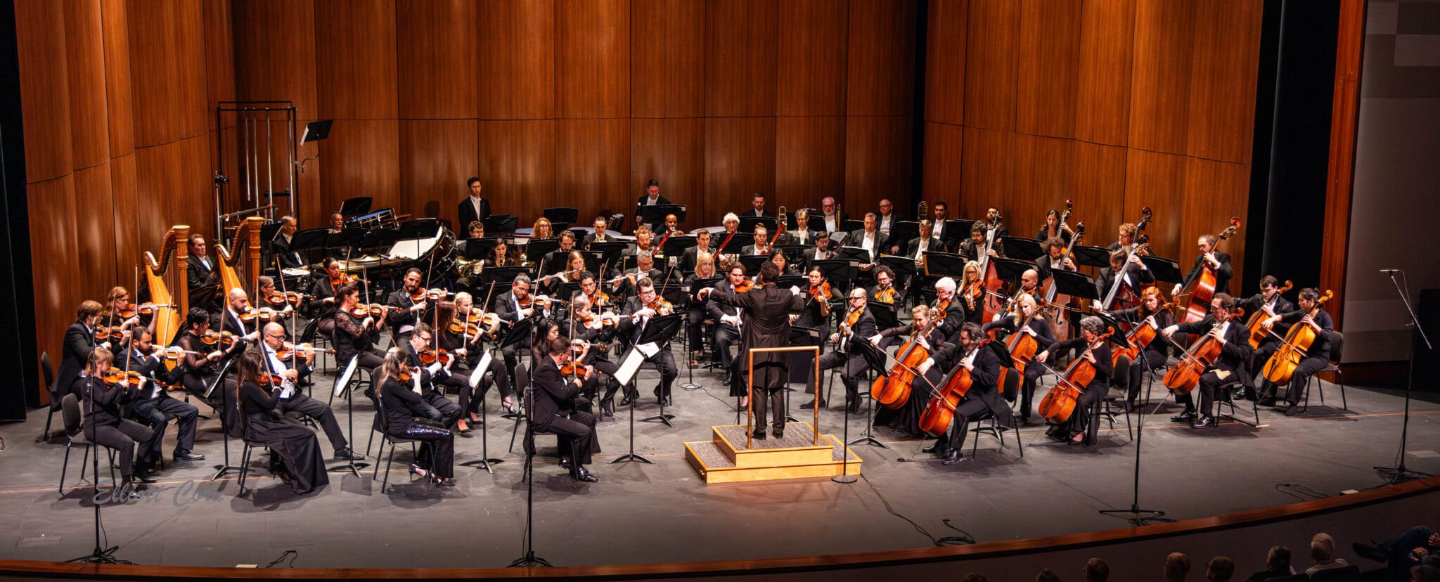 Media Kit | The Venice Symphony